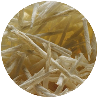 Soluciones en cirugía de columna