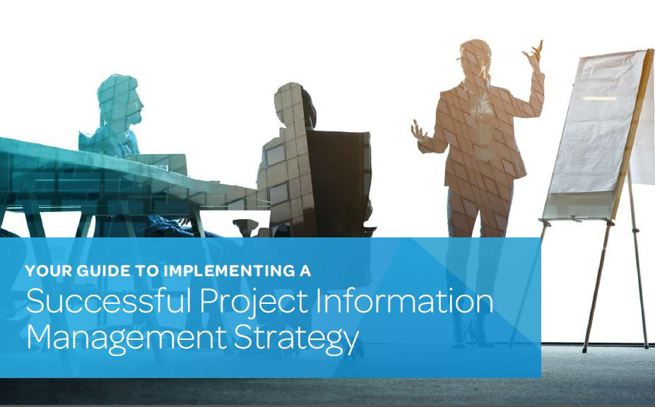 7 Steps for Implementing your PIM Strategy with Deltek