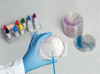 Thermo Scientific - IBMS 2013