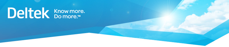 Deltek First Vision Essentials