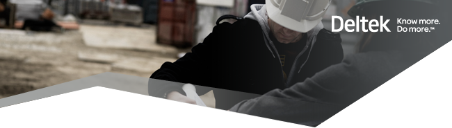 Deltek Vision
